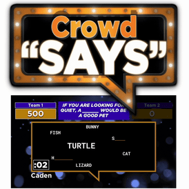 CrowdControlGames